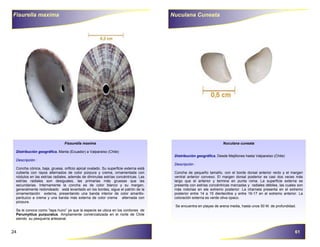 Guia-Moluscos (1).pdf