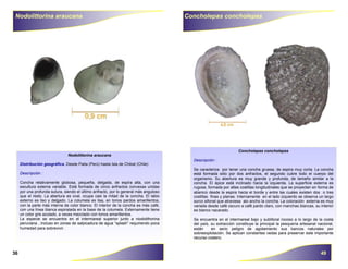 Guia-Moluscos (1).pdf