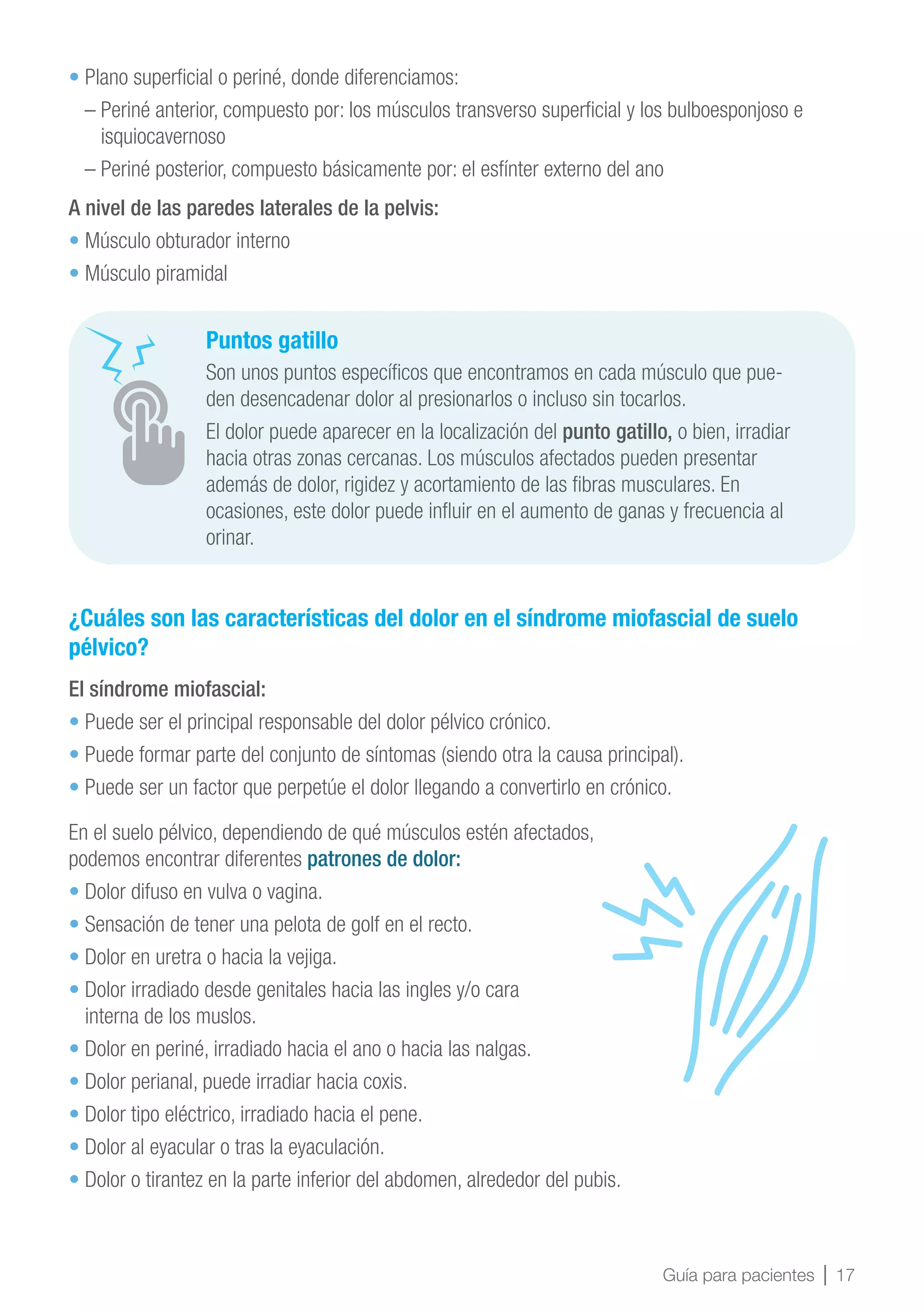 Guia-Pacientes-Dolor-Pélvico-v-3.0-definitiva.pdf | Digestive Disorders ...