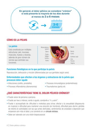 Guia-Pacientes-Dolor-Pélvico-v-3.0-definitiva.pdf
