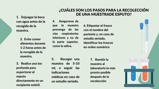 MUESTRAS DE ESPUTO GUIA N° 06 MUESTRAS BIOLOGICAS | PDF