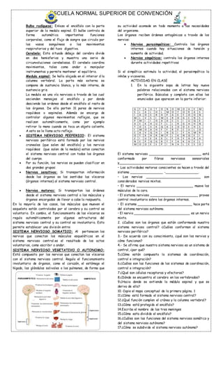 Guia 1 sistema nervioso 2021 | DOCX