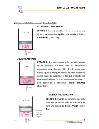 GUIA2SUSTANCIASPURAS.pdf