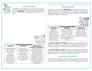 Guía de trabajo escolar para primaria ya | DOCX