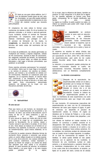 secuencia didactica | DOCX