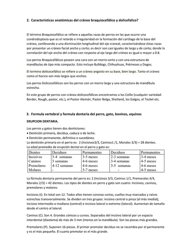 Guia anatomia1 alfonso becerra | PDF