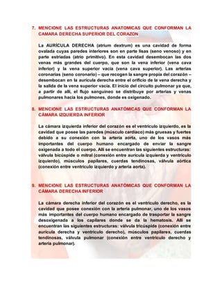 Guía anatomía del corazón | DOCX