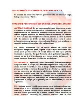 Guía anatomía del corazón | DOCX