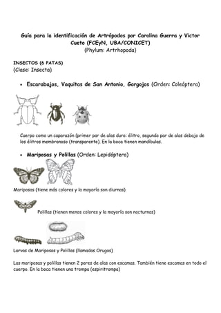 Guía de artropodos | DOC