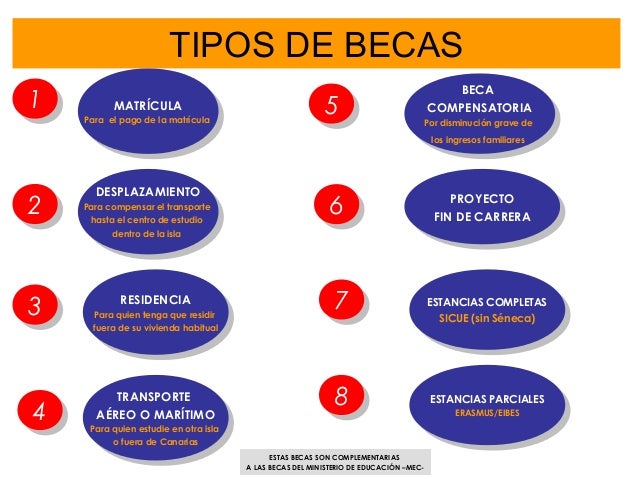 Guía Básica - Becas Universitarias 2012-2013