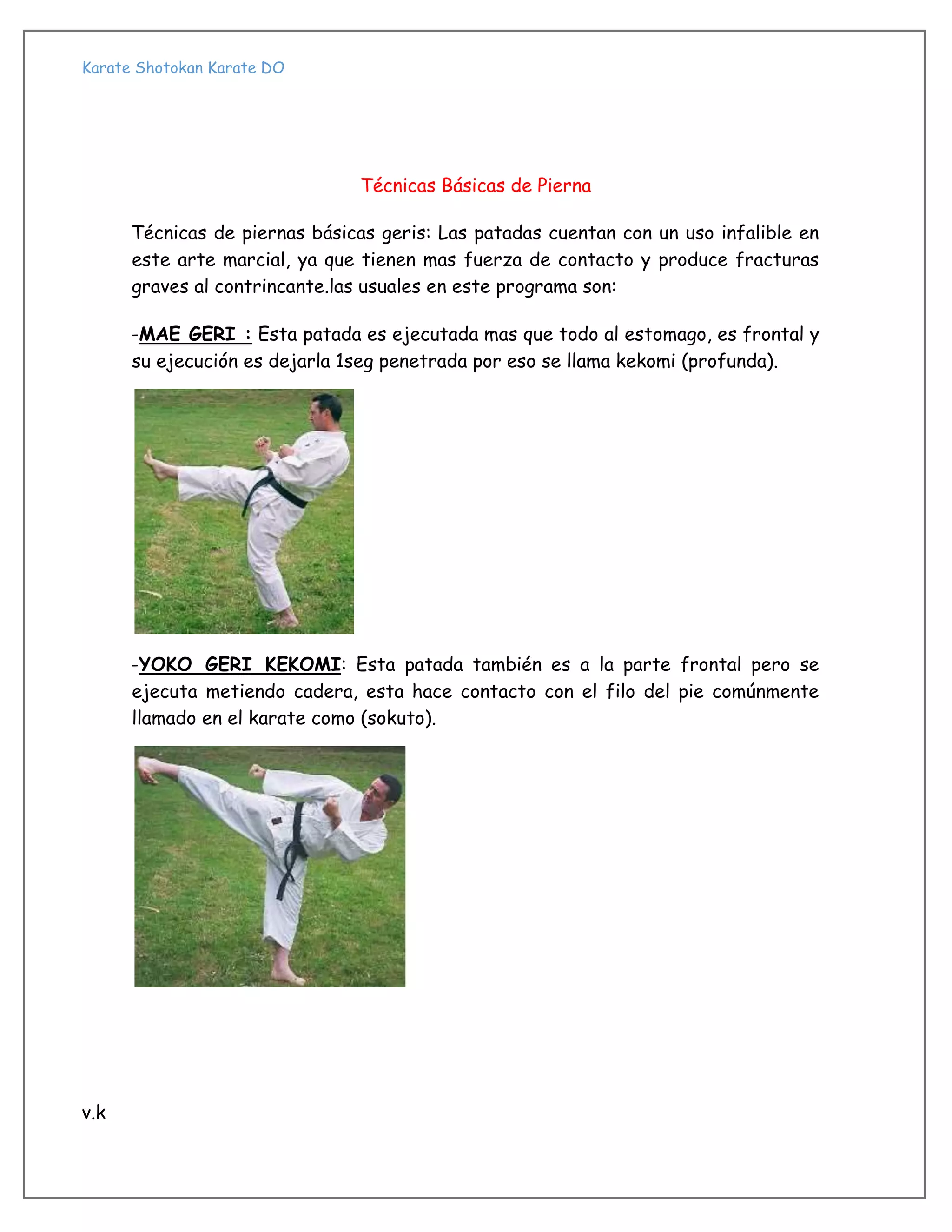 Guia basica del KARATE SHOTOKAN KARATE DO | DOCX