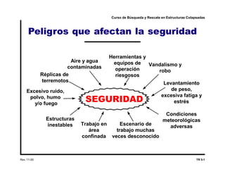 Guia brec estructuras-colapsadas | PDF