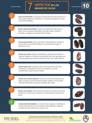 Guia cacao | PDF