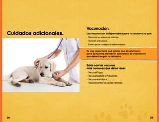 Guía de cuidado del cachorro | PDF