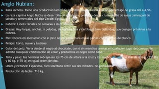 Guia de Caprinos | PPTX