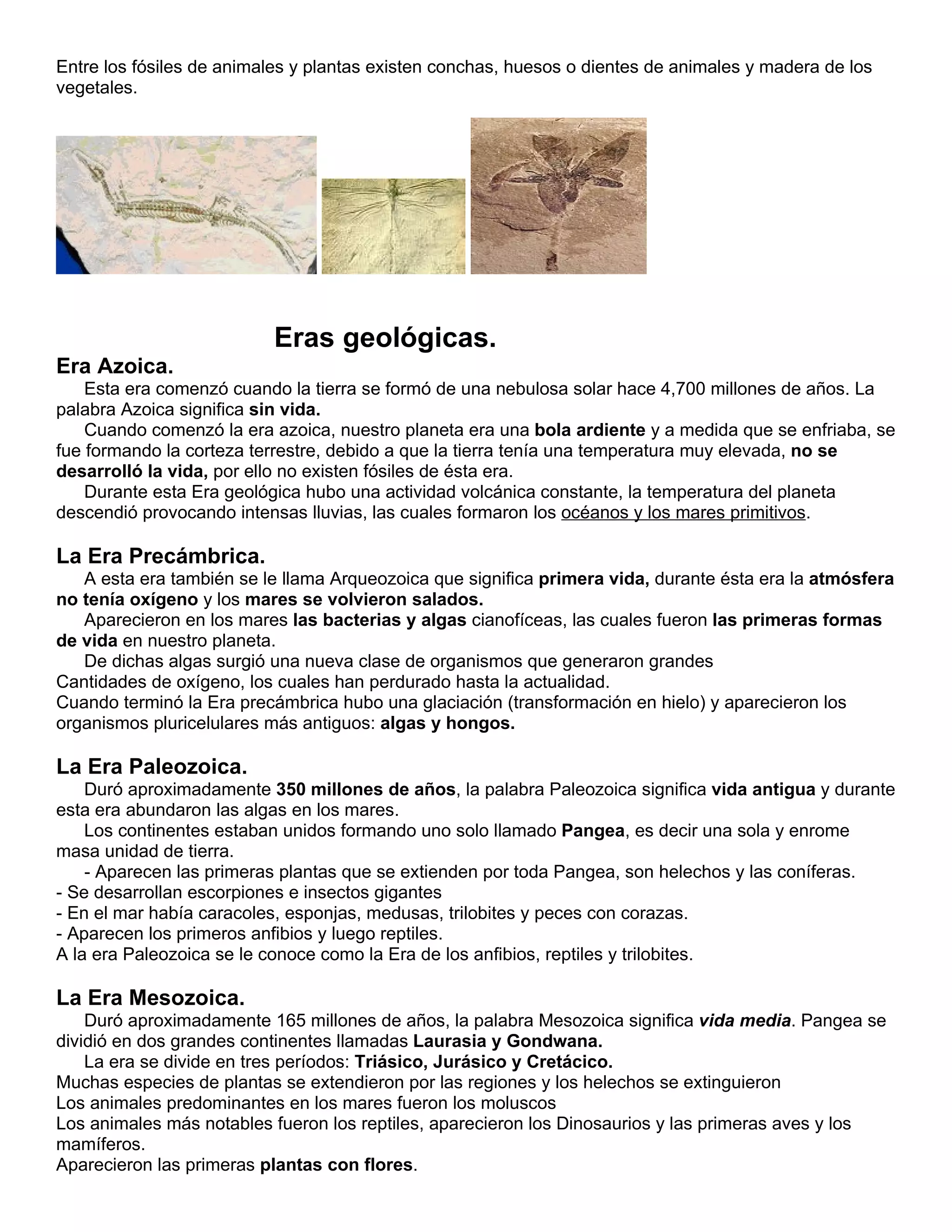 Guia complementaria 8º año eras geologicas | PDF