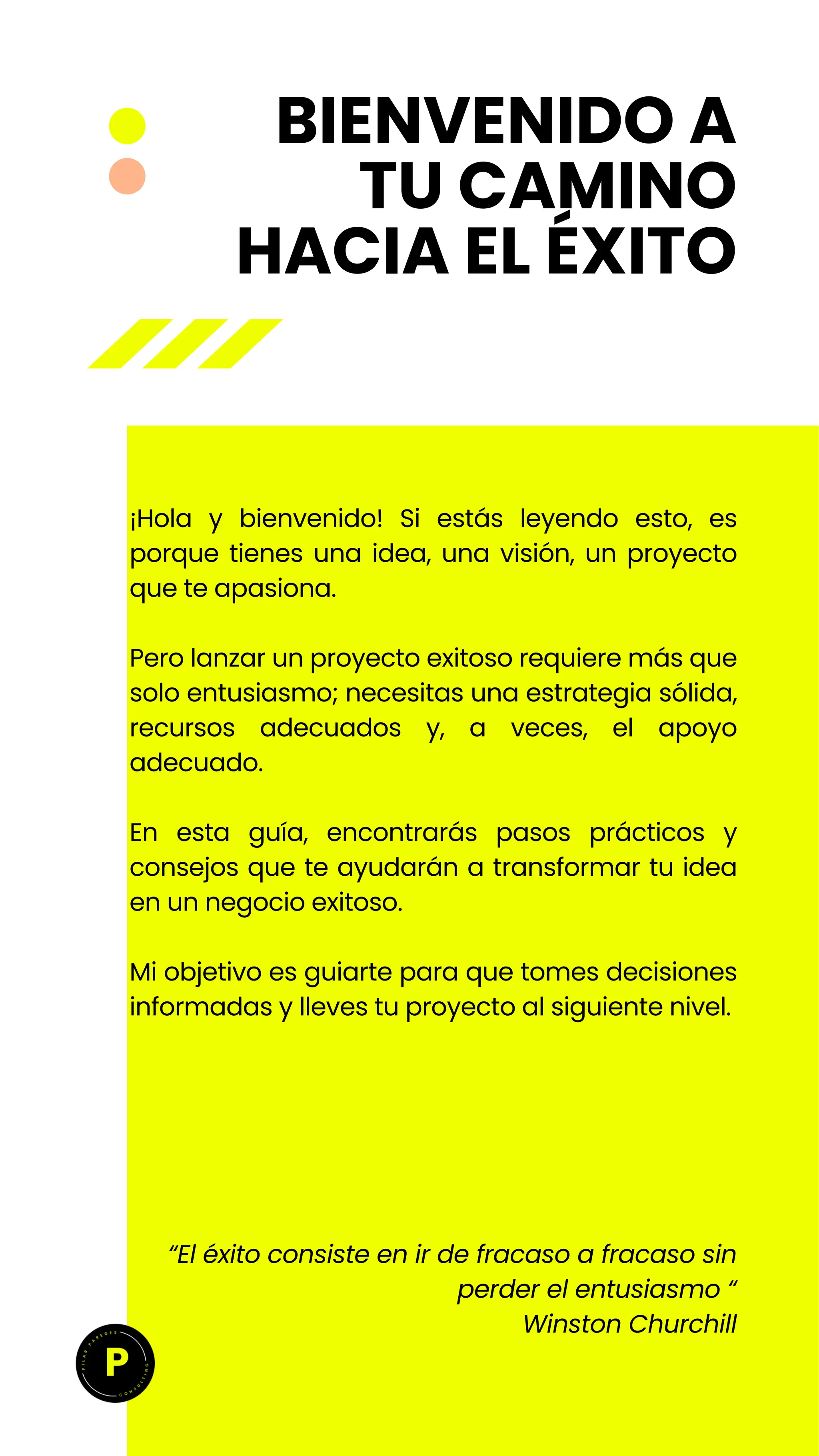 guia completa para lanzar tu proyecto al éxito .pdf