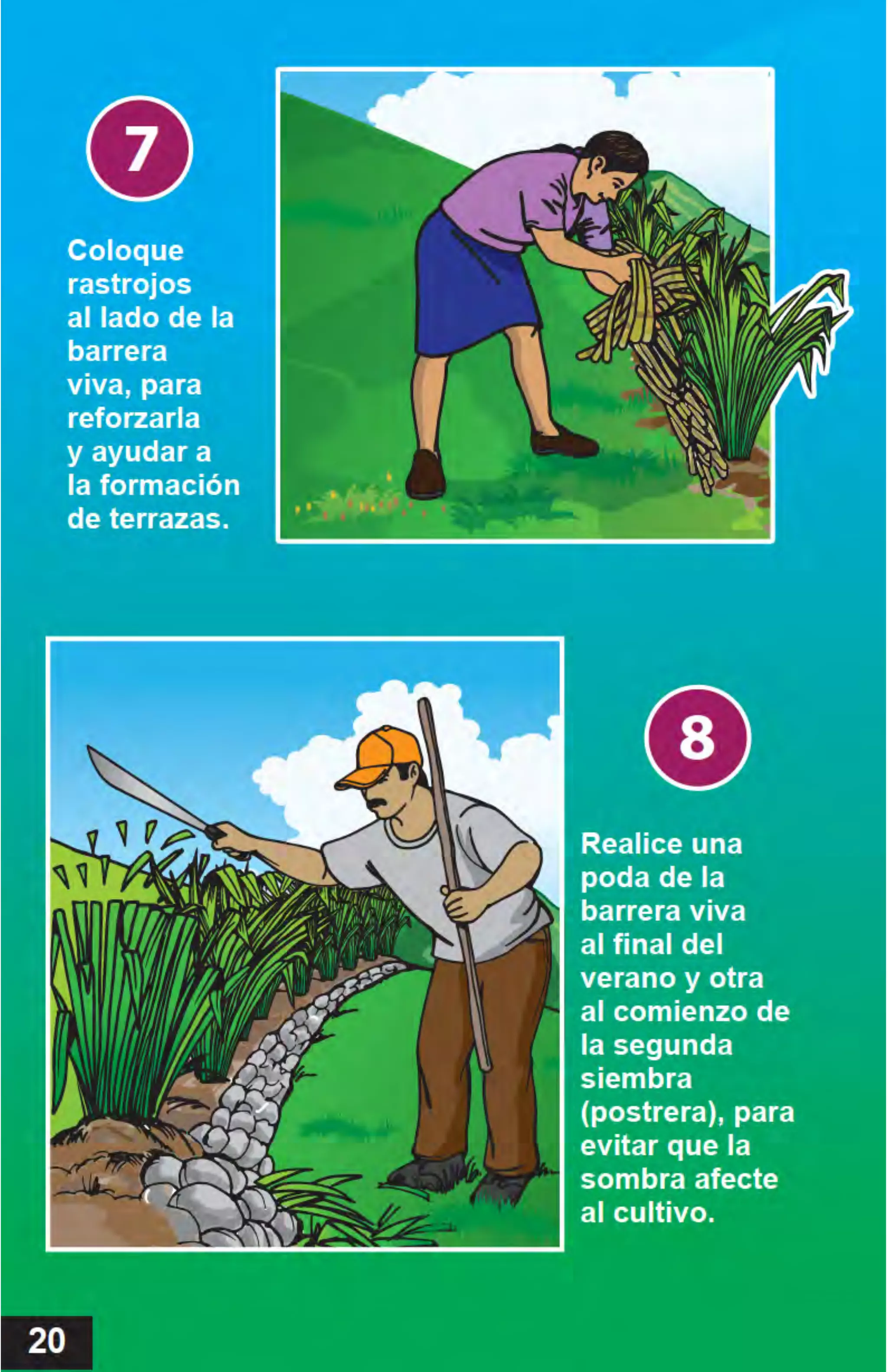 Guia conservacion suelos y agua (c.a.) | PDF