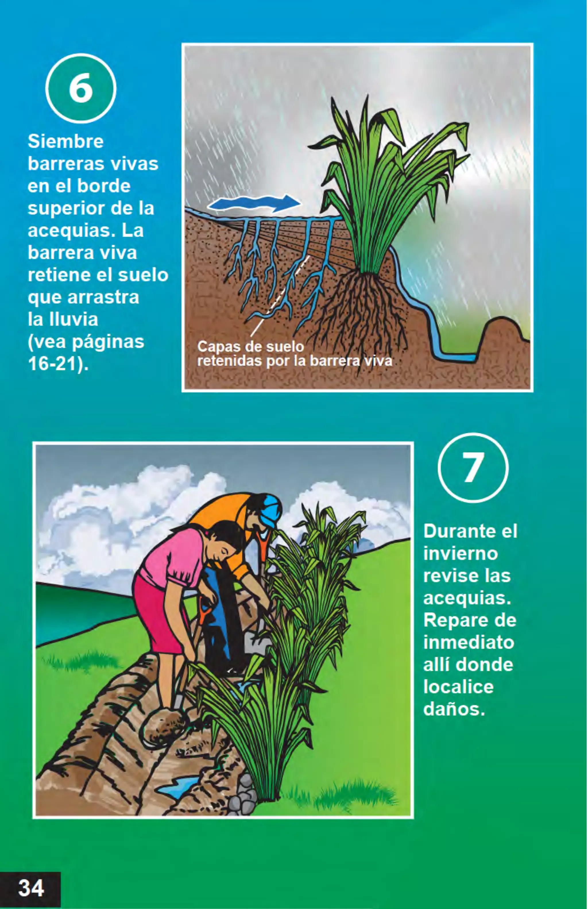 Guia conservacion suelos y agua (c.a.) | PDF