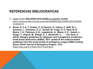 guia de bologna de la guía internacional | PPTX