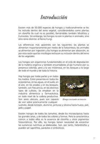 Guia de campo de los hongos de chile | PDF