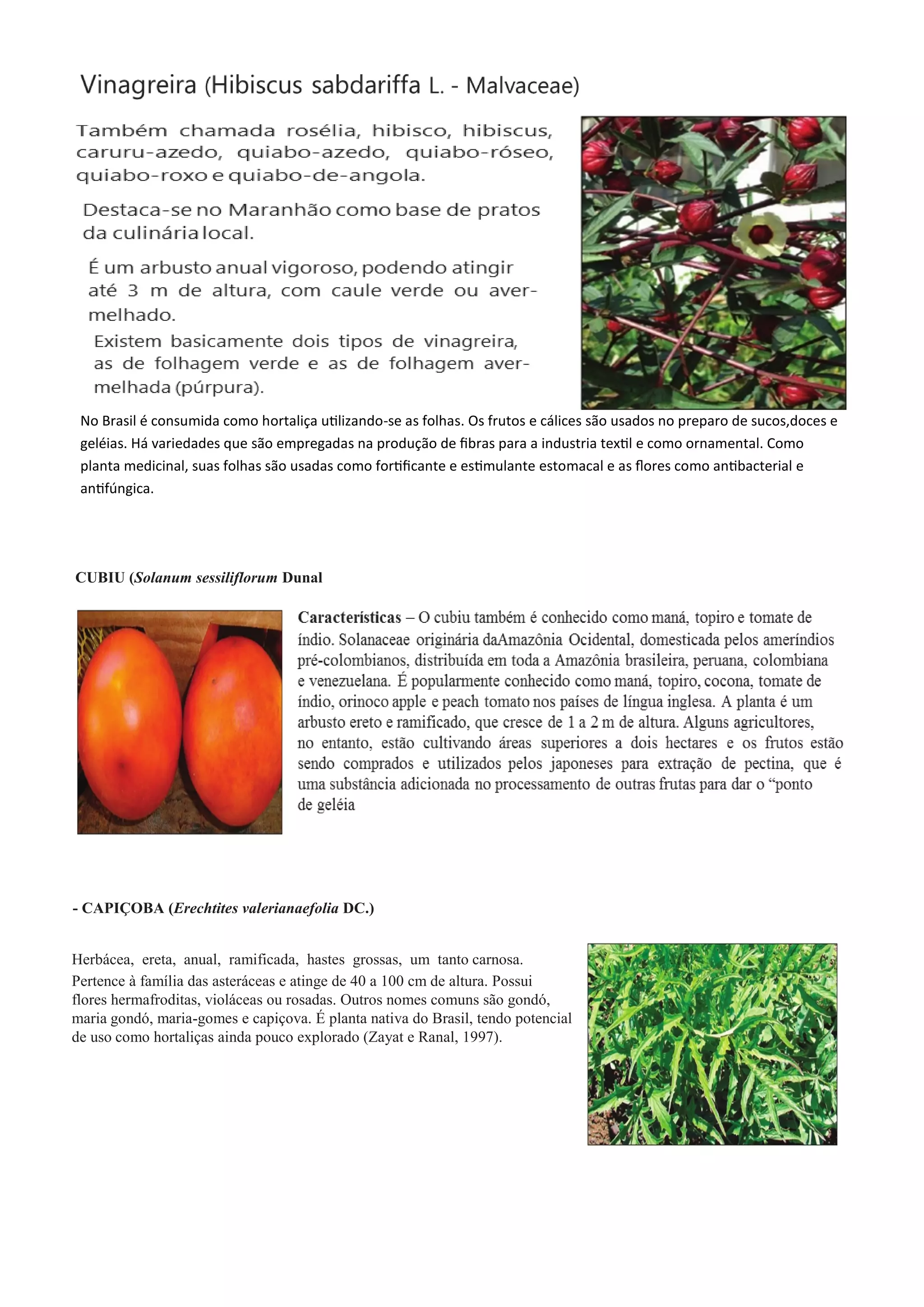Guia de campo pancs | PDF