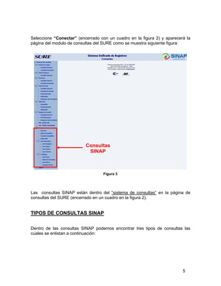 Guia de consultas sinap gp 002 | PDF