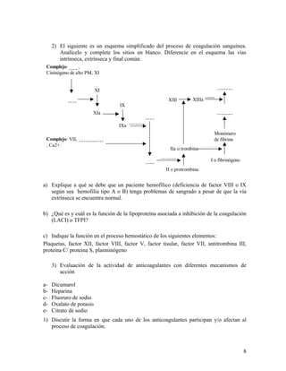 Guia de fisiologia de la sangre | DOC