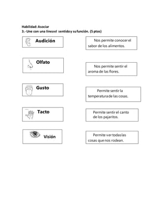 Guia de los organos de los sentidos (1) | PDF