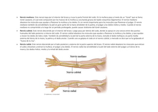 GUIA DE MUSCULOS DE MMSS (BRAZO, ANTEBRAZO Y MANO).pdf