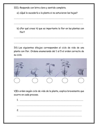 Guia de naturaleza partes de la flor | DOC
