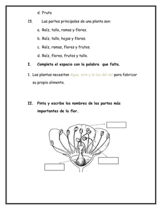 Guia de naturaleza partes de la flor | DOC