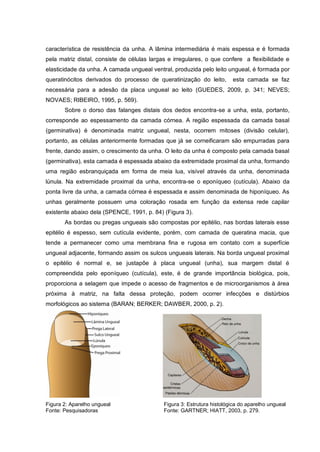 Guiadepatologiasungueasi 130418083834-phpapp02 (1) | PDF