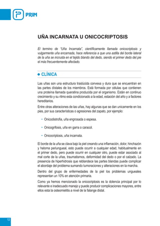 Guía de Podología y sus indicaciones ortésicas.pdf