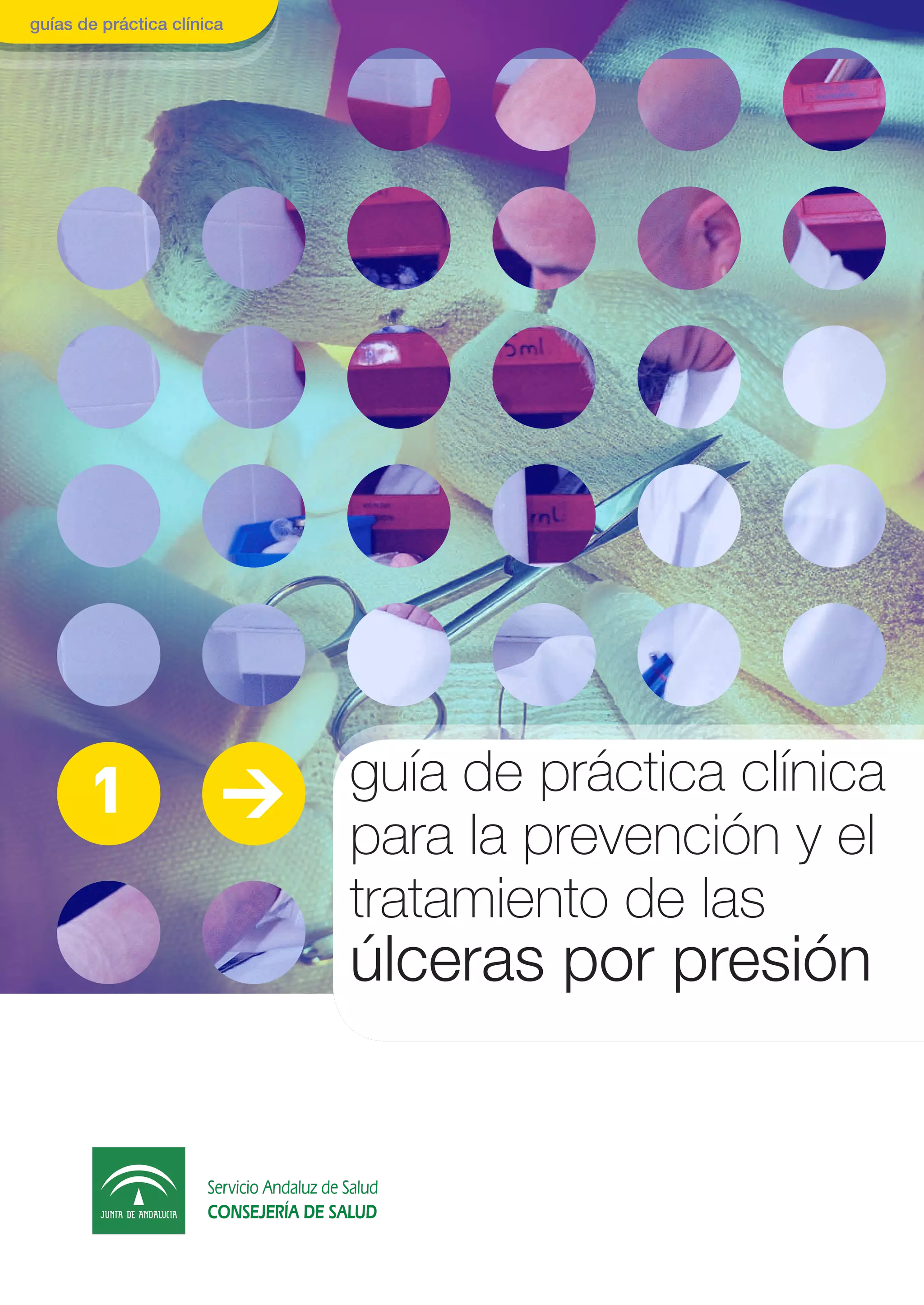 Guia de practica clinica UPP.pdf