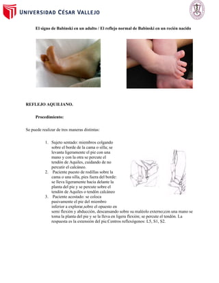 GUIA DE PRACTICA FISIOLOGIA original.pdf