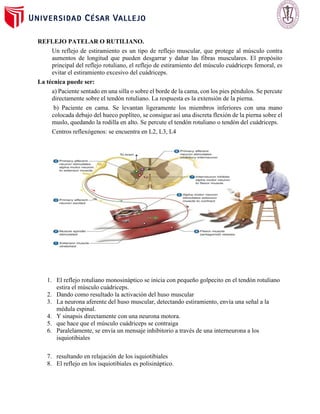 GUIA DE PRACTICA FISIOLOGIA original.pdf