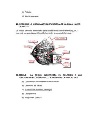 Guia de preguntas modulo de mama | DOC