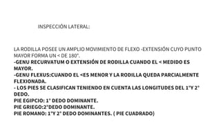 FICHA PODOLÓGICA - GUÍA PARA FORMULAR LA HISTORIA CLINICA E EL ...