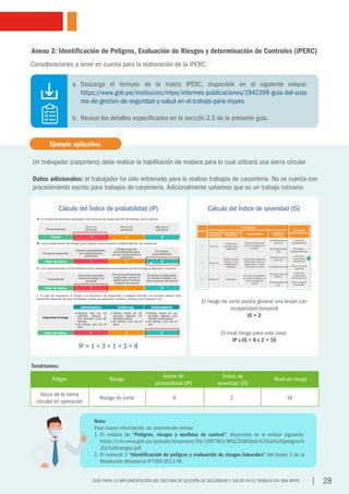 Guía de SGSST para MYPES según Ley 28793 | PDF
