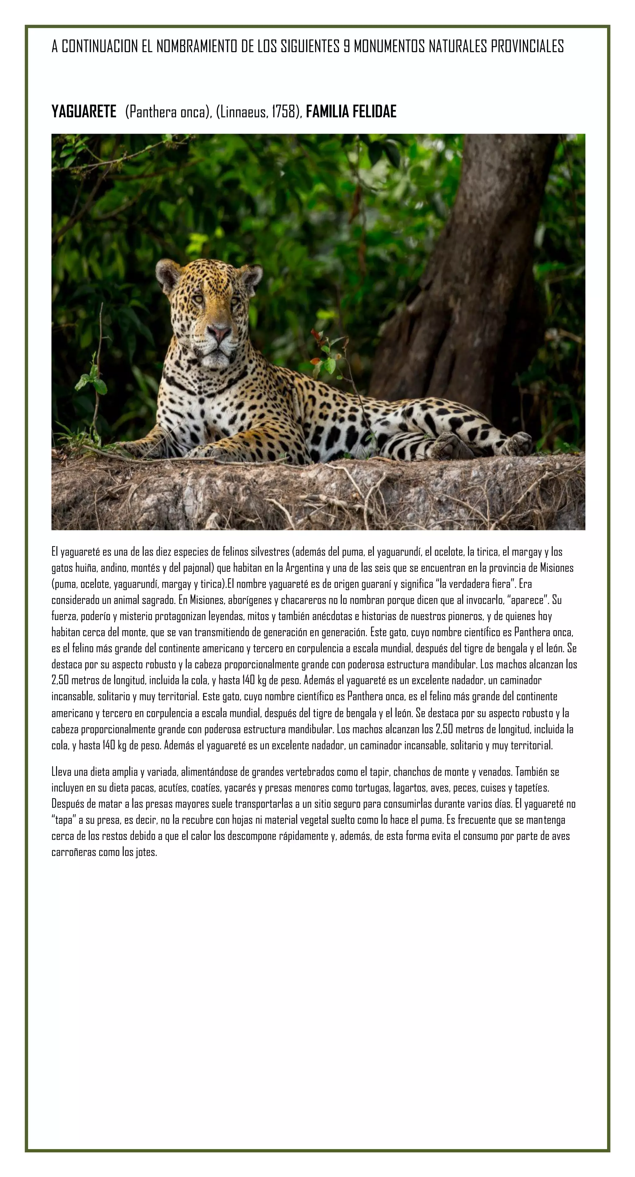 GUIA_DETALLADA_SOBRE_MONUMENTOS_NATURALES_DE_LA_PROVINCIA_DEL_CHACO.pdf