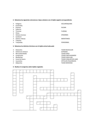 Guia de tejido animal y vegetal | PDF