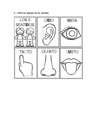 Los Cinco Sentidos Para Colorear