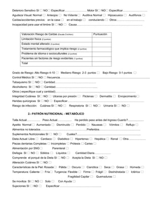 GUIA DE VALORACIÓN GORDON.pdf