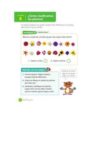 Guia didactica clasificacion de las plantas | PDF