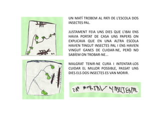 Guia d’insectes del pati de l’escola | PDF