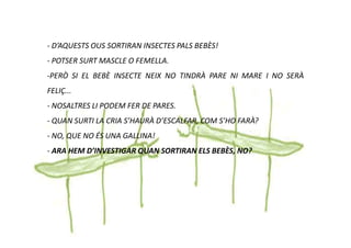 Guia d’insectes del pati de l’escola | PDF