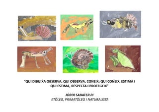 Guia d’insectes del pati de l’escola | PDF