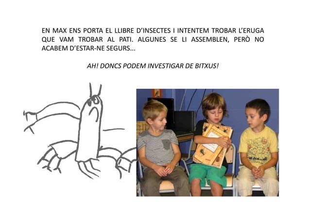 Guia d’insectes del pati de l’escola | PDF