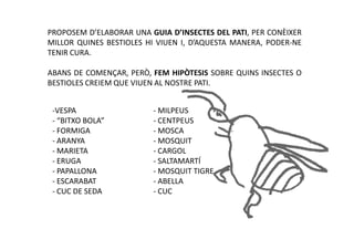 Guia d’insectes del pati de l’escola | PDF